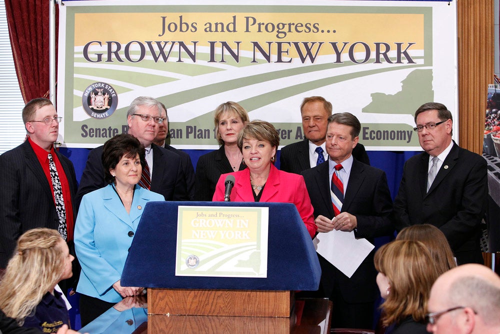 Senator Patty Ritchie used a State Capitol press conference to unveil a ...