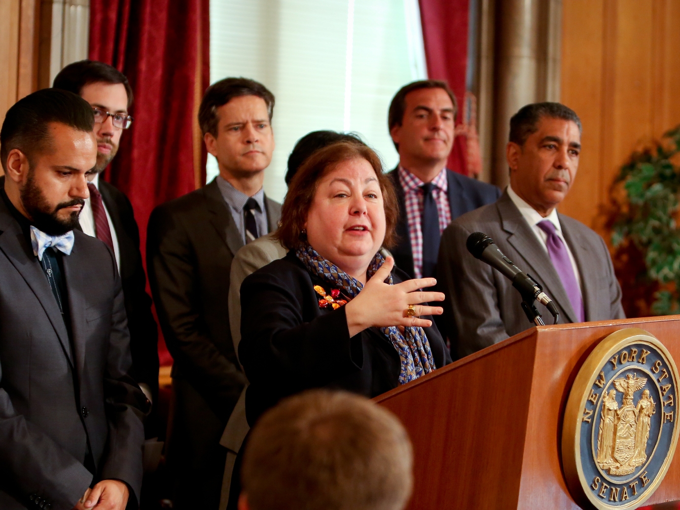 Our District | NYSenate.gov
