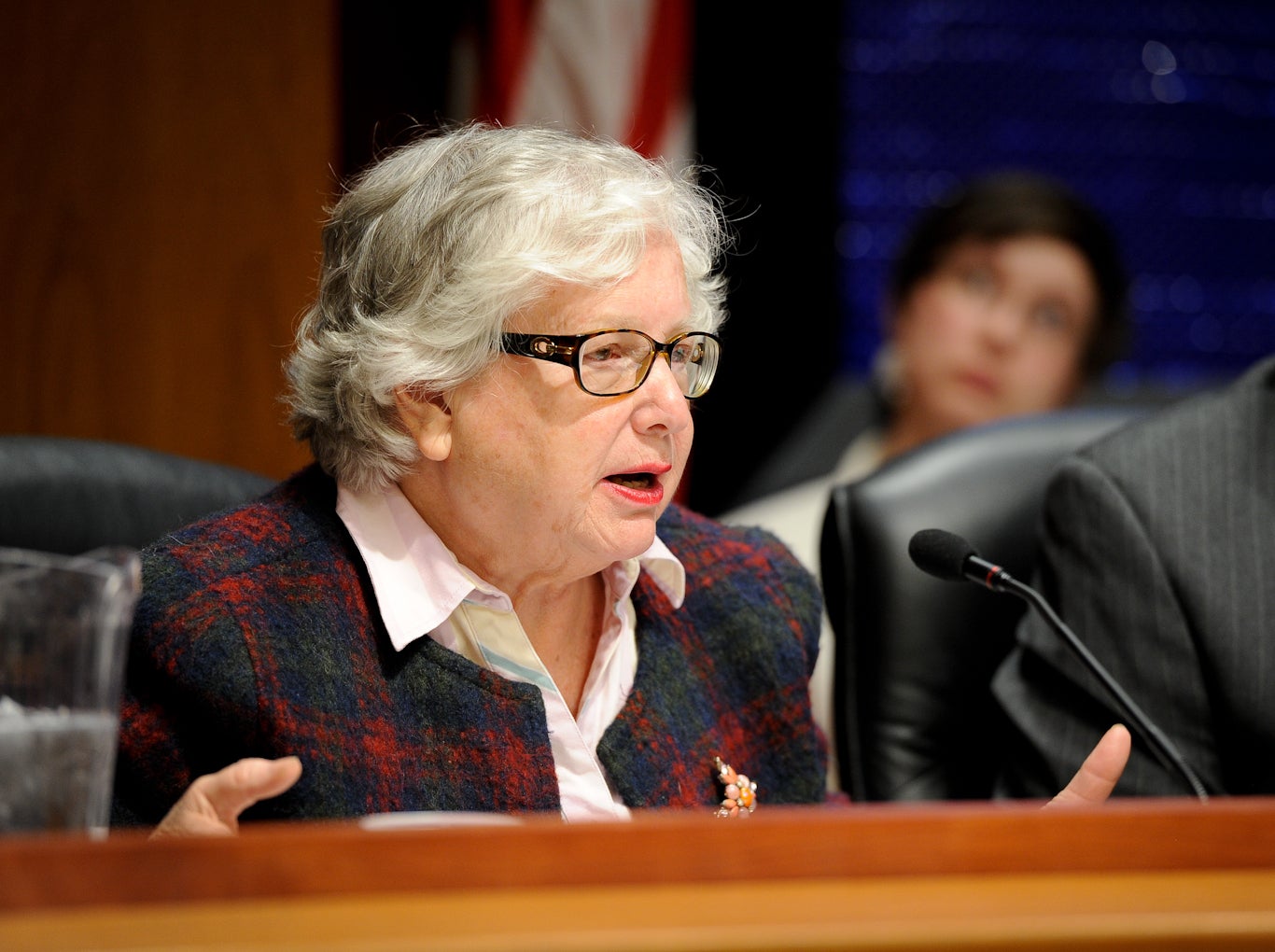 Senator Toby Ann Stavisky | NYSenate.gov