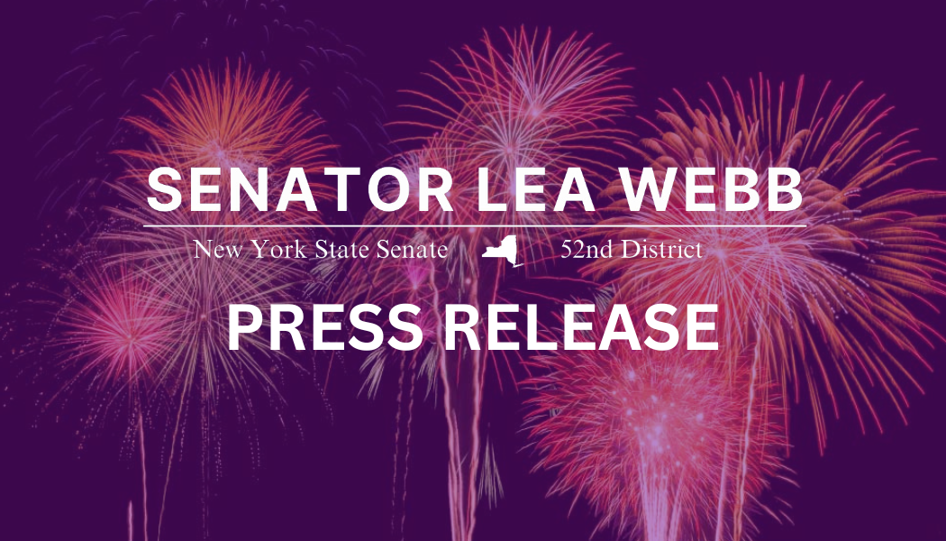 Senator Lea Webb Reviews Productive First Year in Senate with Start of ...