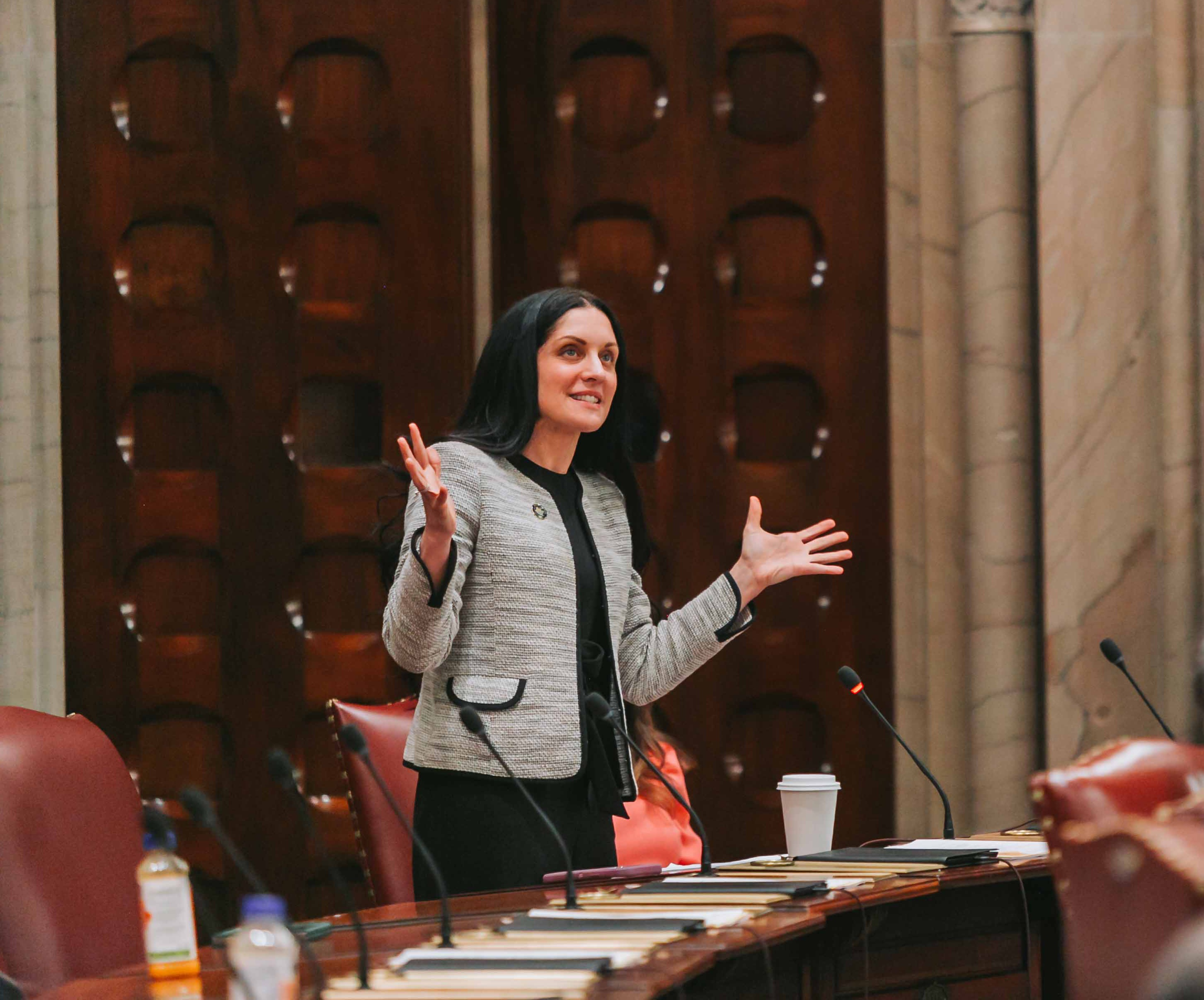 NYS Senate passes ‘Honor and Remember Flag’ legislation | NYSenate.gov