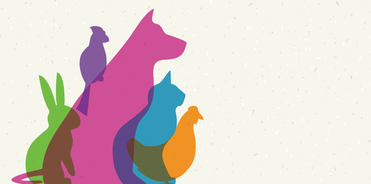 State Senate Highlights Animal Advocacy Day in Albany with Animal ...