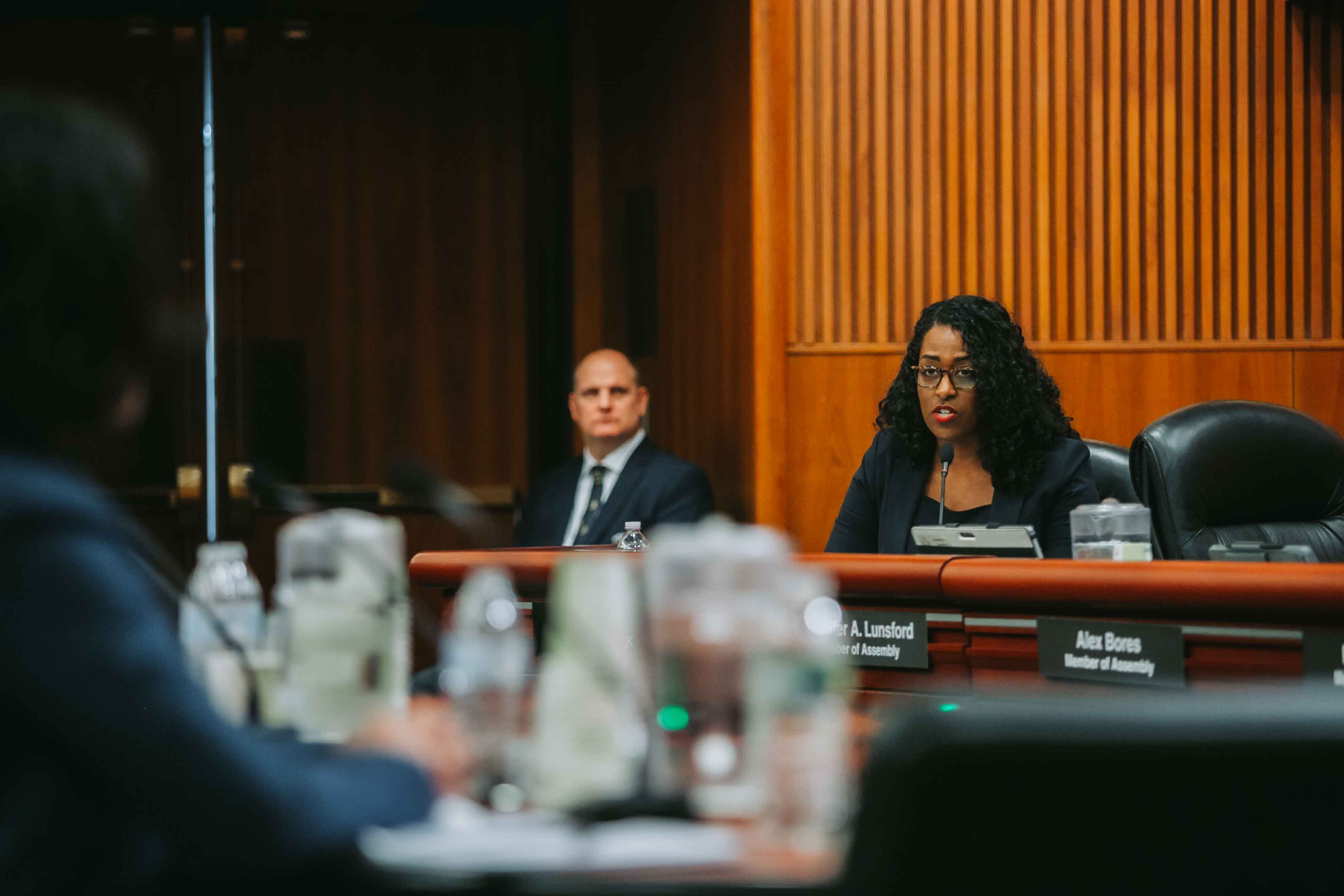 Senator Brouk Announces 2023 Year in Review Summary | NYSenate.gov