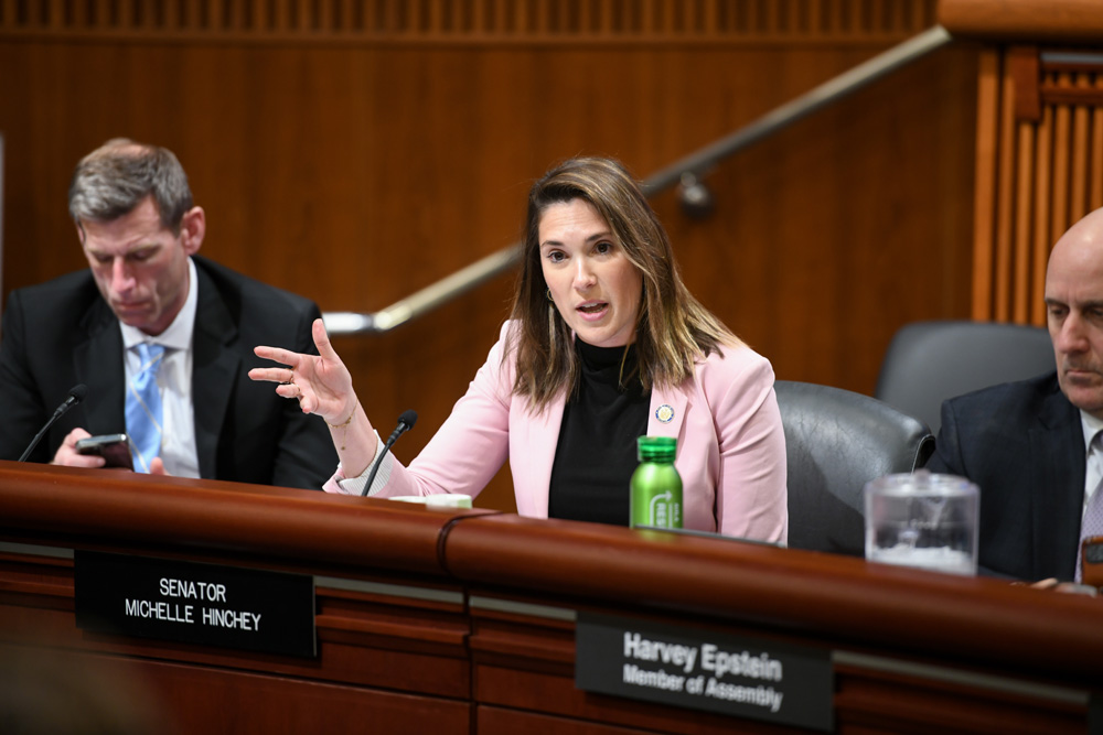 Senator Hinchey Statement on Central Hudson Settlement | NYSenate.gov