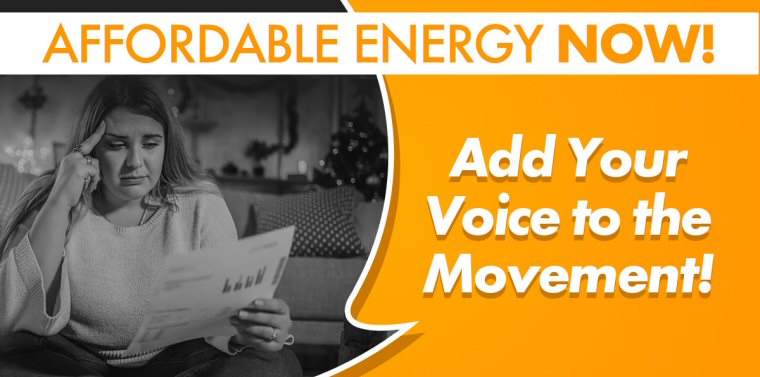 NYS Petition: Join Me in Fighting for Affordable, Reliable Energy