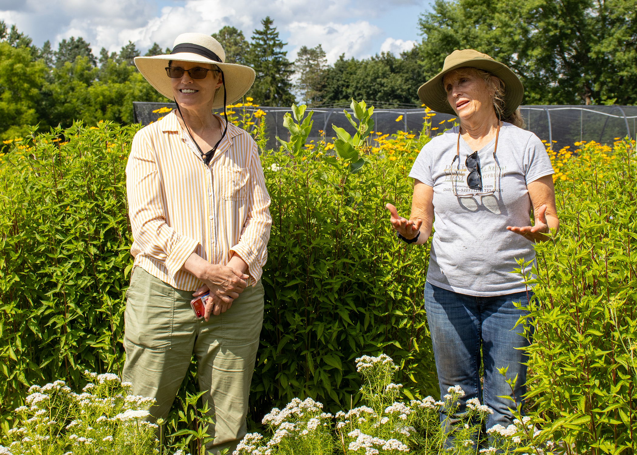 Senator Rachel May’s Bill to Increase Native Seed Supply in New York ...
