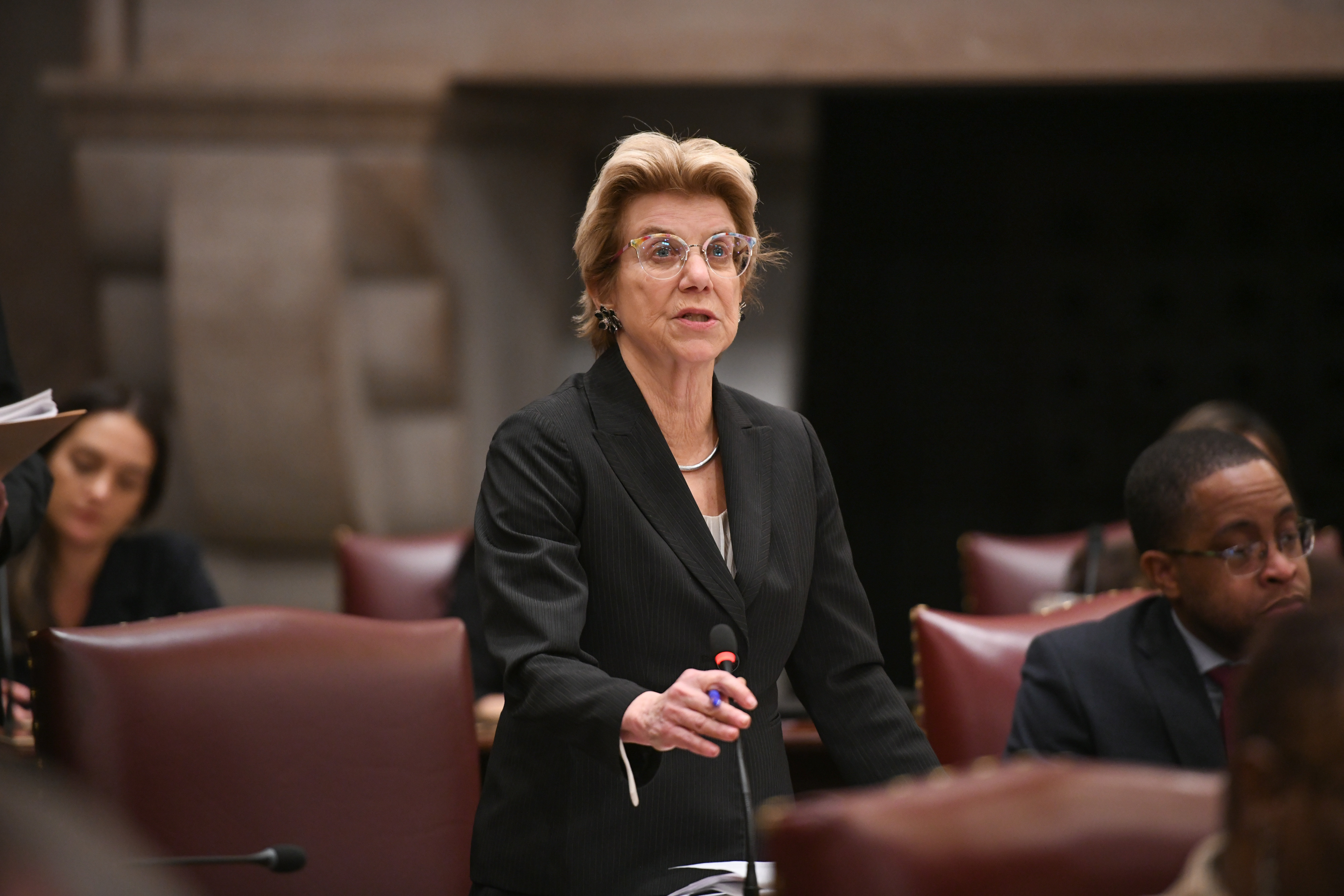 State Senator Shelley B. Mayer Announces Senate Committee Assignments ...