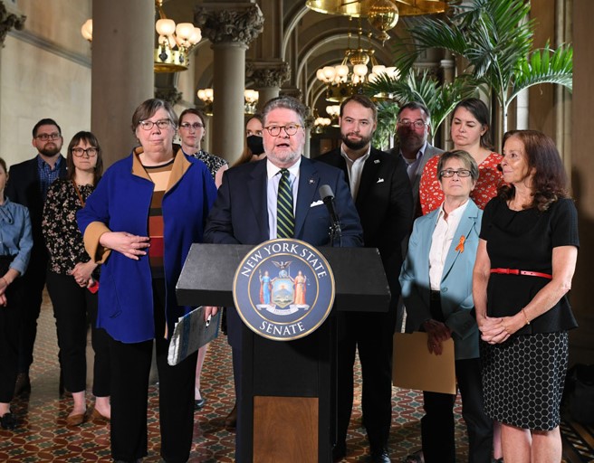 Senator Harckham and Assemblymember Glick's Packaging Reduction Bill ...