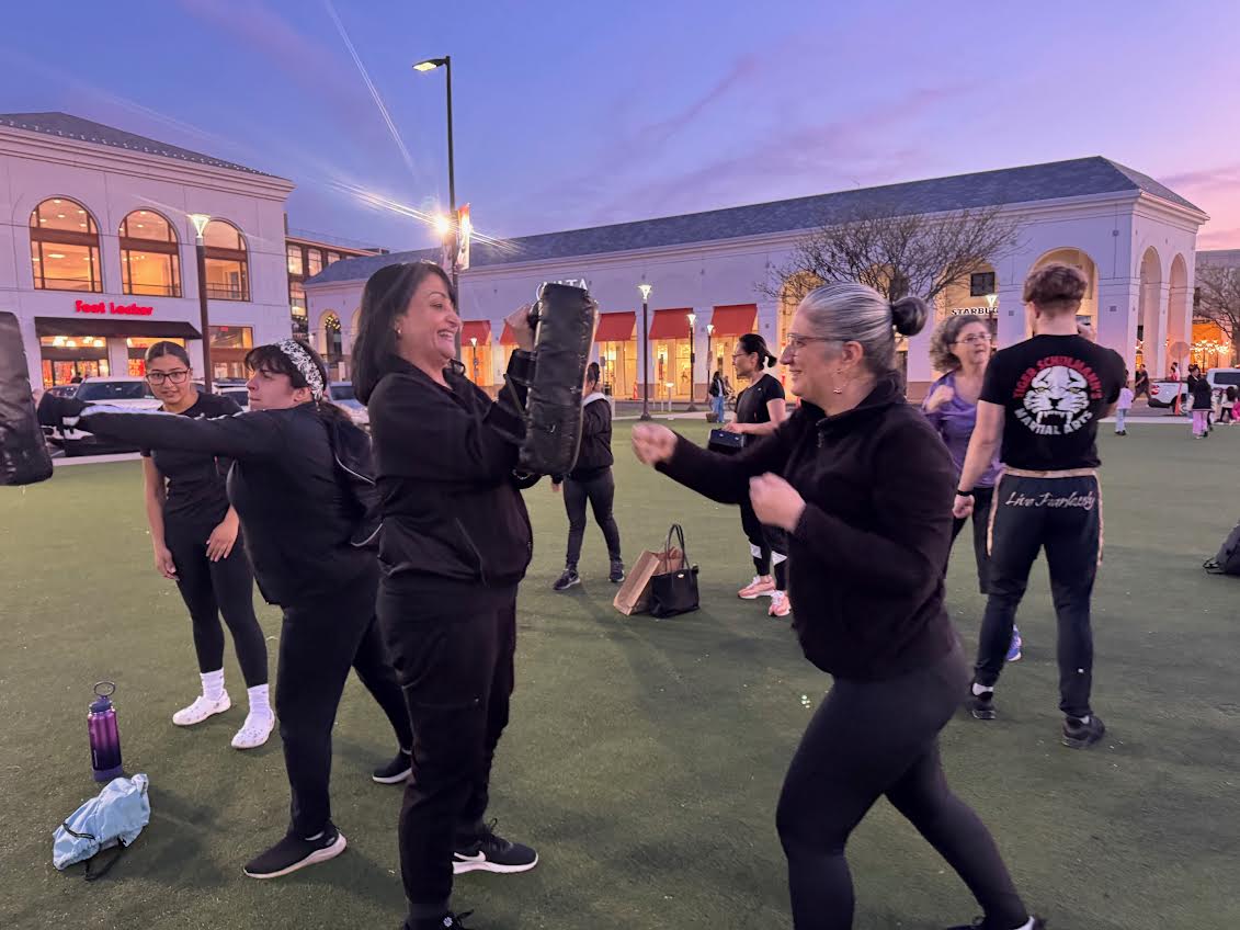 Senator Addabbo Hosts Self-Defense Training to Raise Awareness During ...