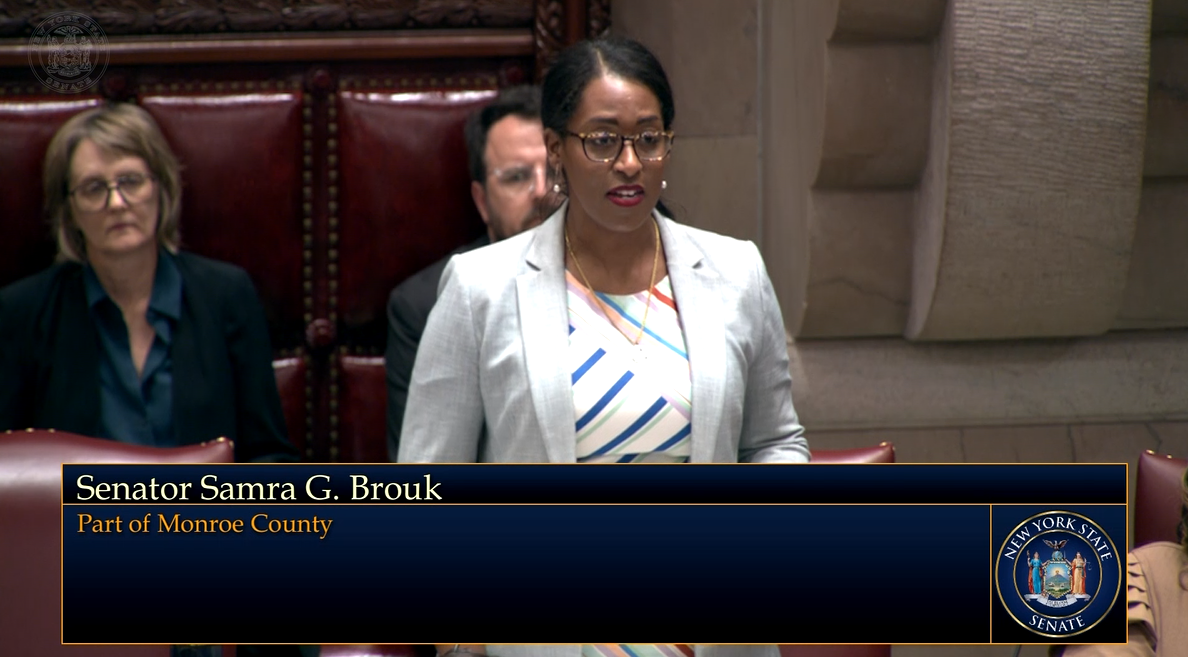 Senator Brouk’s Floor Remarks on Health And Mental Hygiene Adopted ...