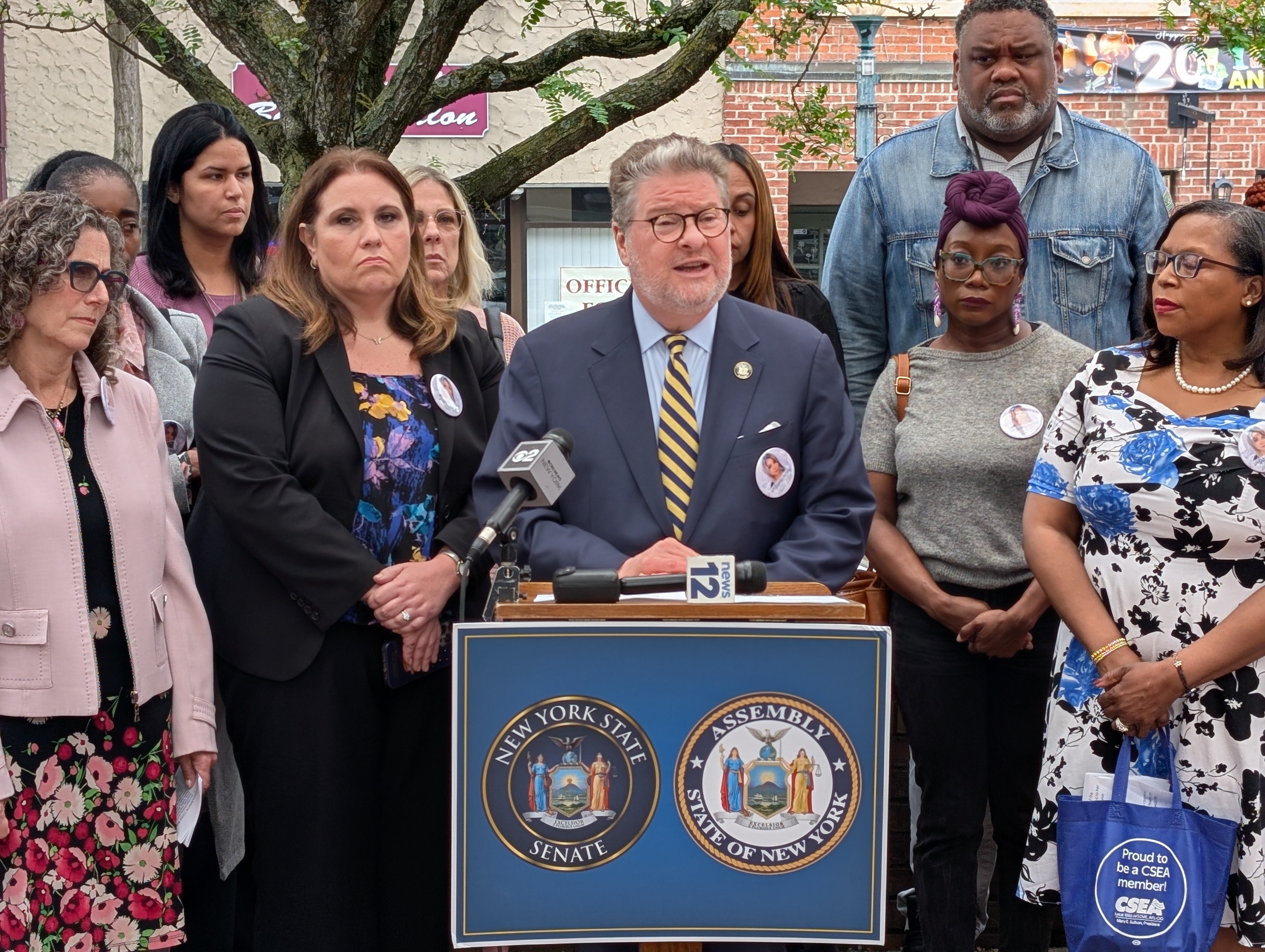 Harckham, Levenberg, County and CSEA Officials Call for Safeguarding ...