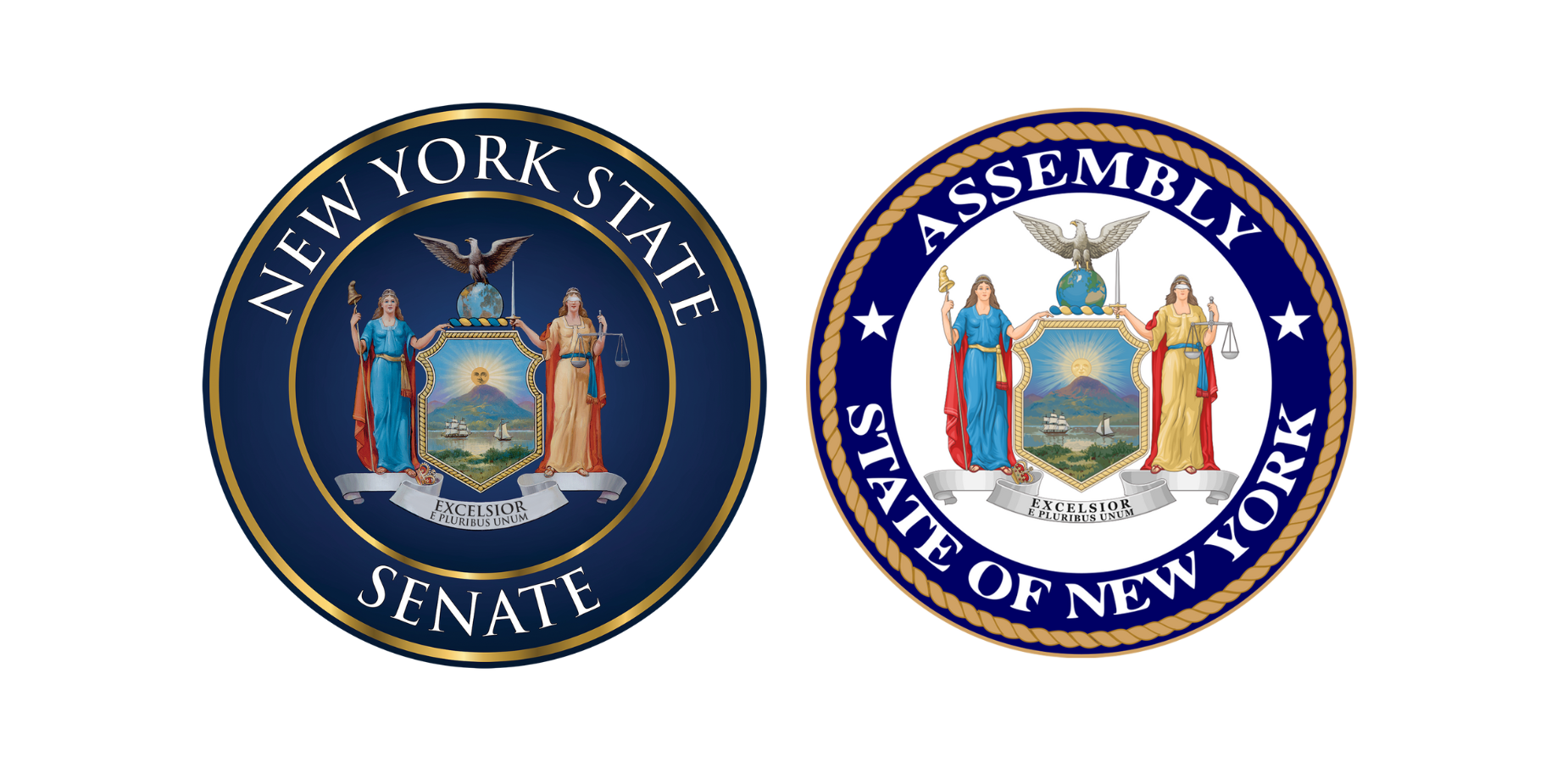 Fahy, Carroll Legislation Establishing a New York State Center for ...
