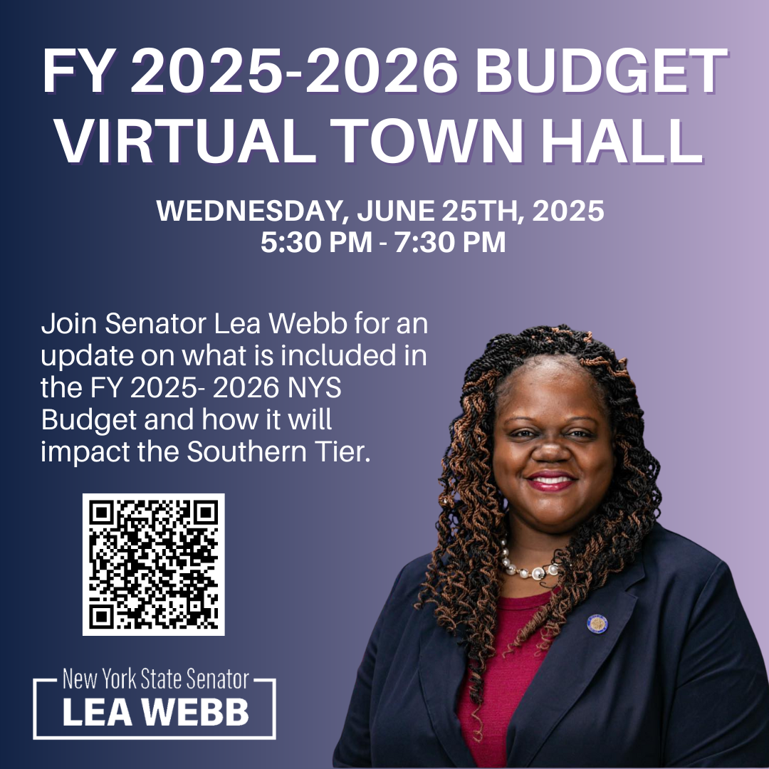 Senator Lea Webb Hosts a Virtual Town Hall for the FY 2025-2026 New ...