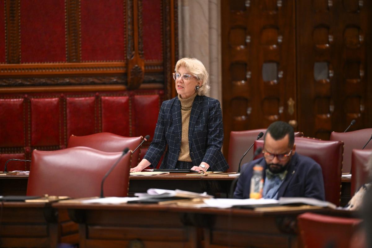 Senator Shelley B. Mayer Leads in Albany in the Fight Against Utility ...