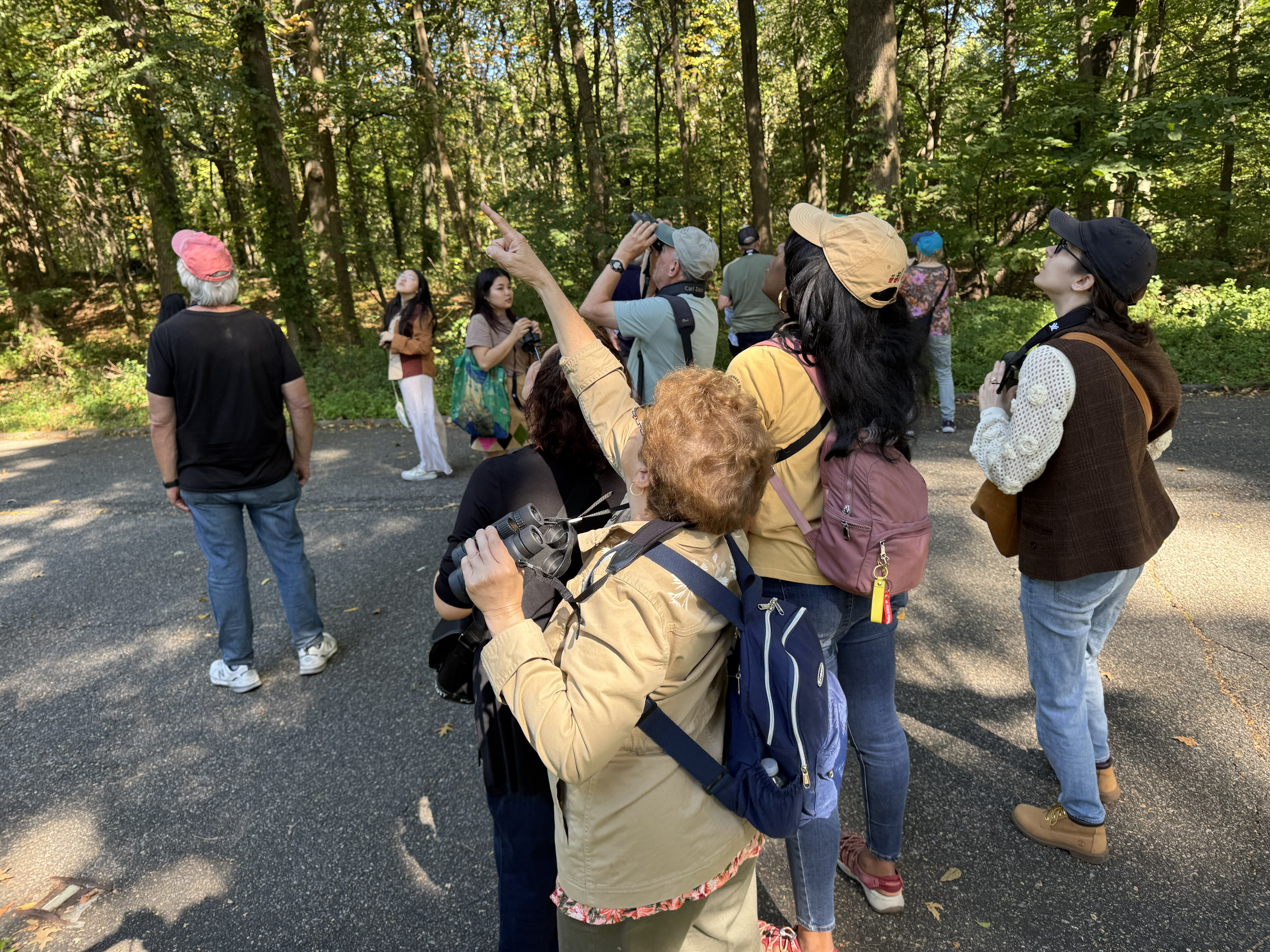 Senator Addabbo Hosts Bird Watching Tours With The Queens County Bird ...