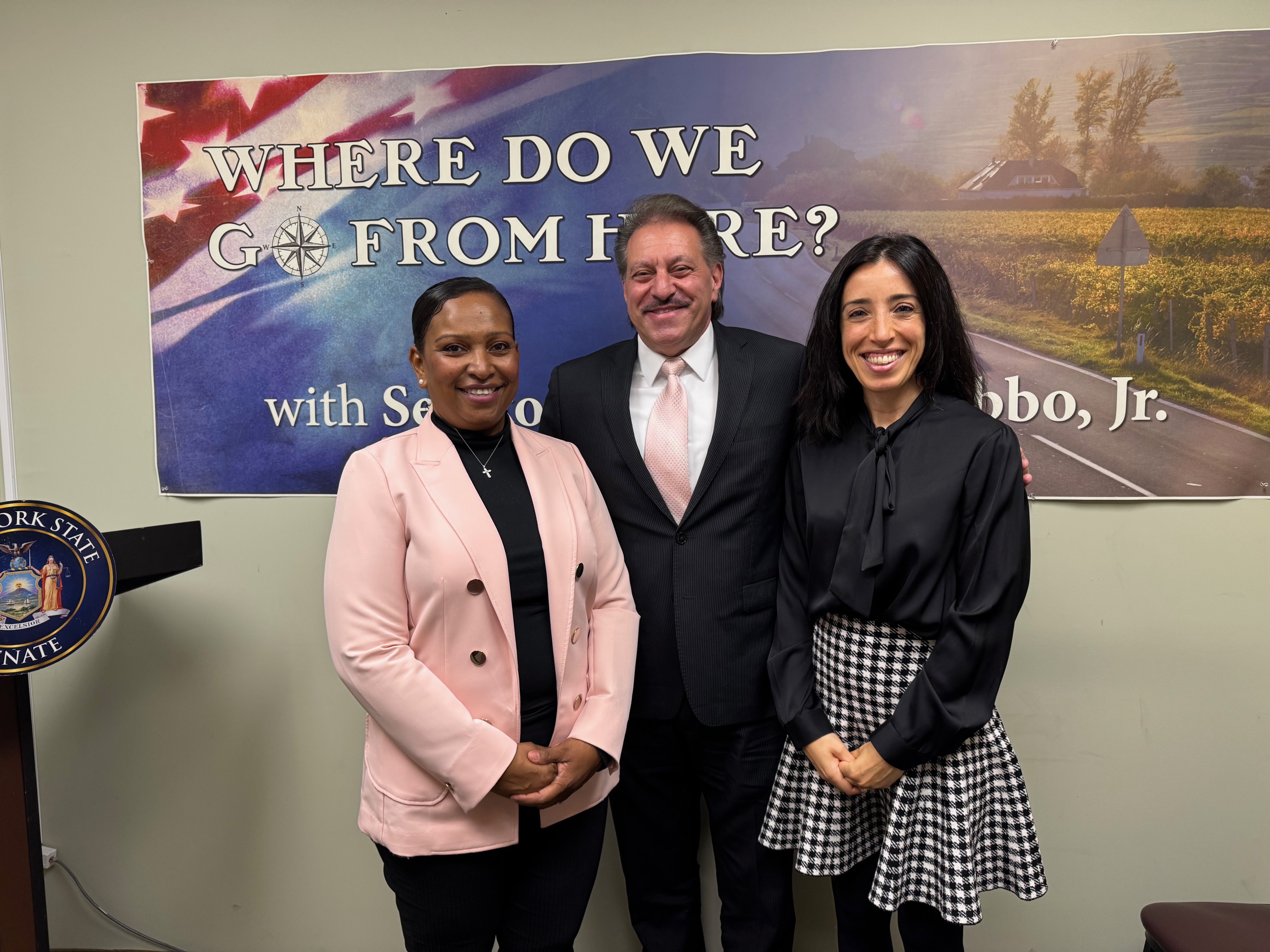 Senator Addabbo Hosts Podcast in Commemoration of Breast Cancer ...