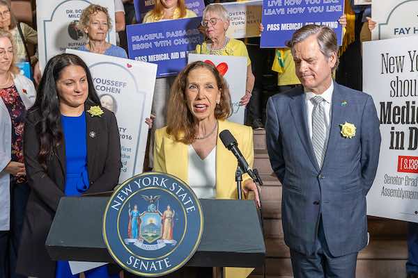 Amy Paulin to Hold Rally in Scarsdale to Urge Governor Hochul to Sign ...