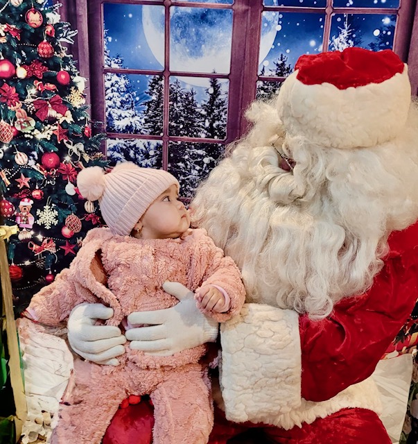 Senator Addabbo Brings Holiday Joy To Community Youth With Santa With ...
