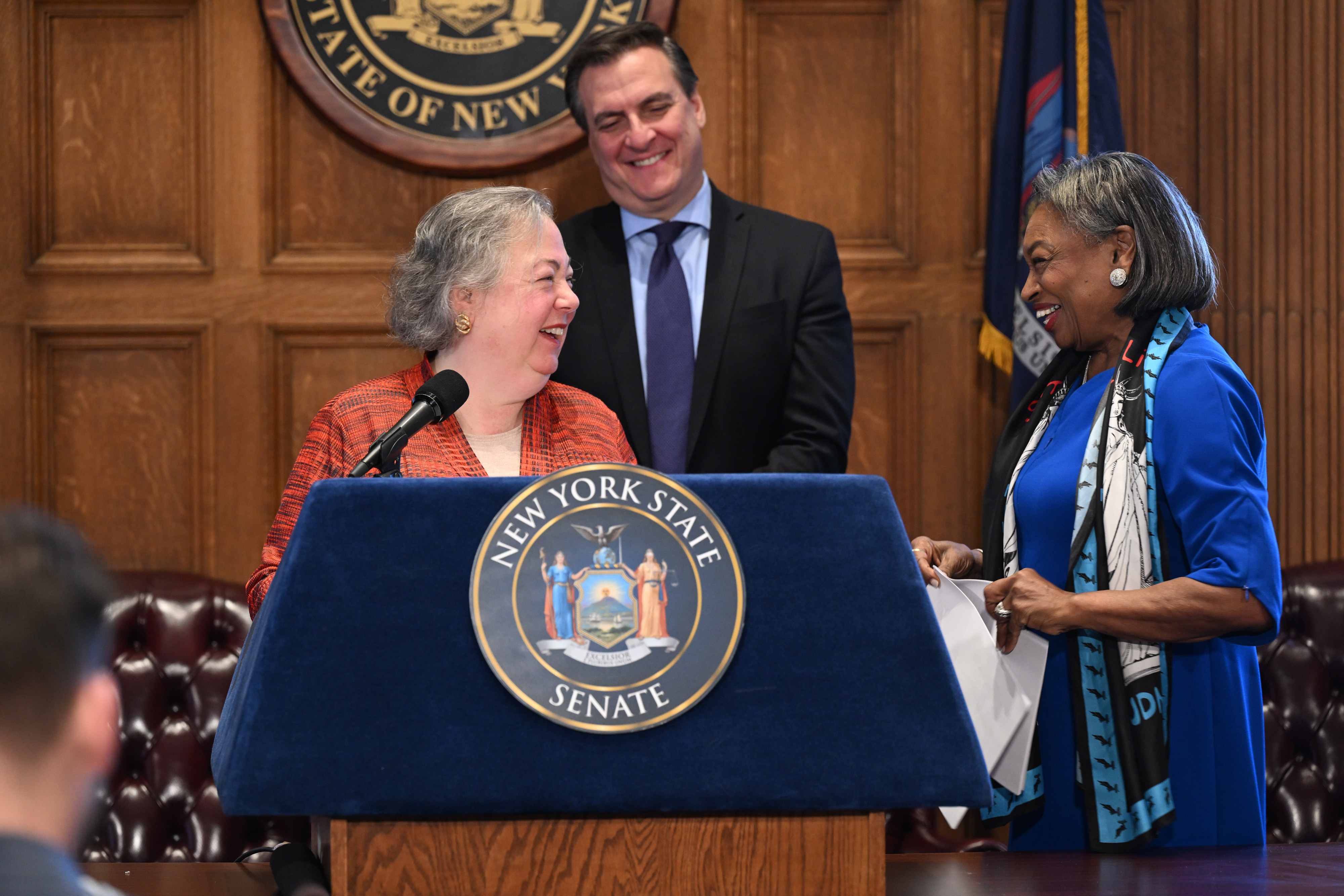 New York State Senate Advances 2026 One-House Budget Resolution ...