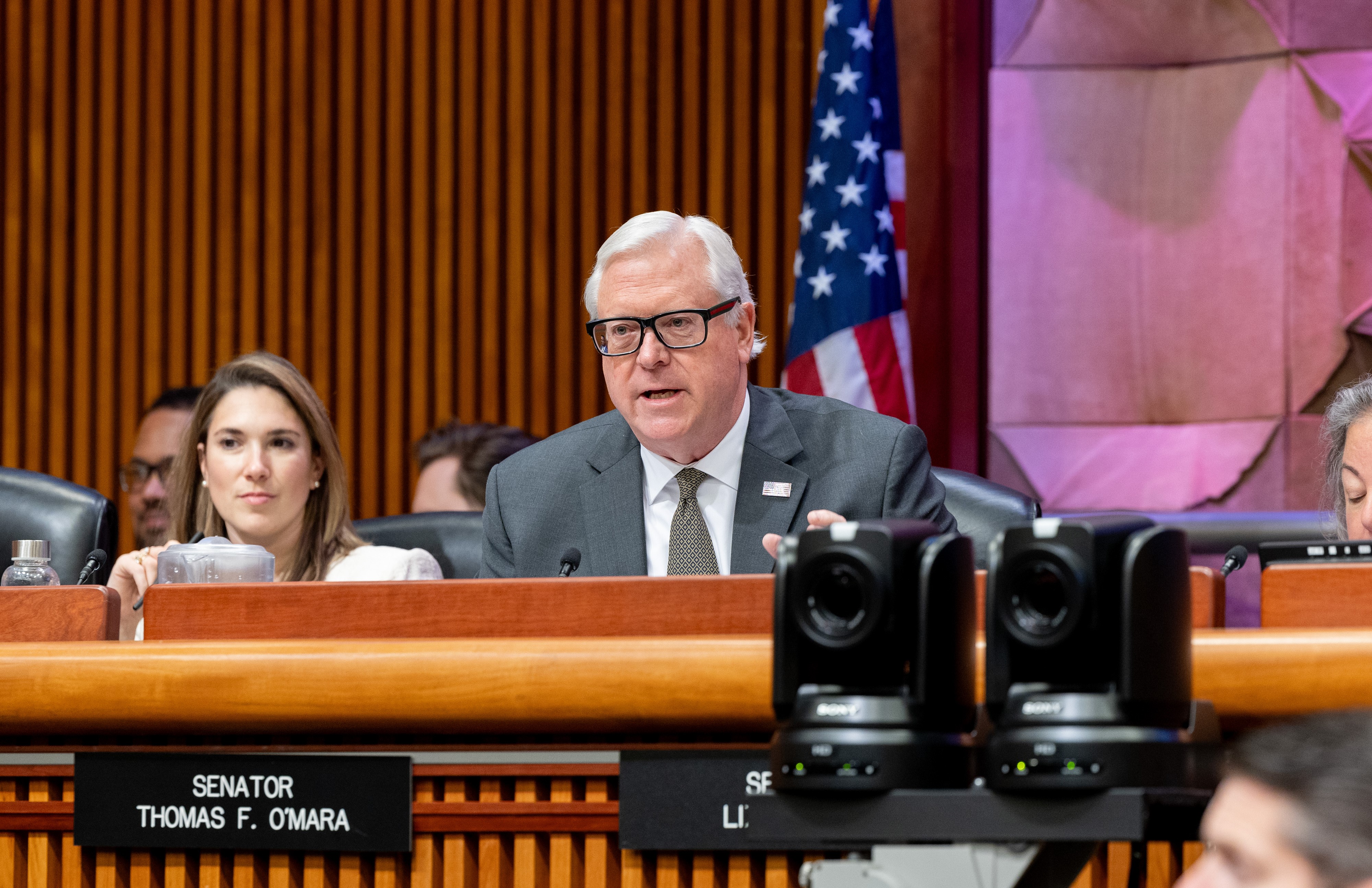 O'Mara, Senate colleagues seek accountability on state's process for ...