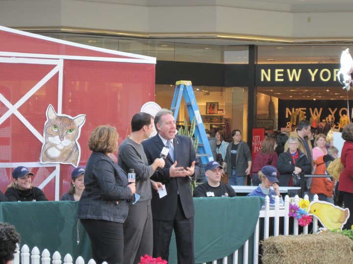 Senator Robach Helps Out at Lollypop Farm Telethon | NYSenate.gov