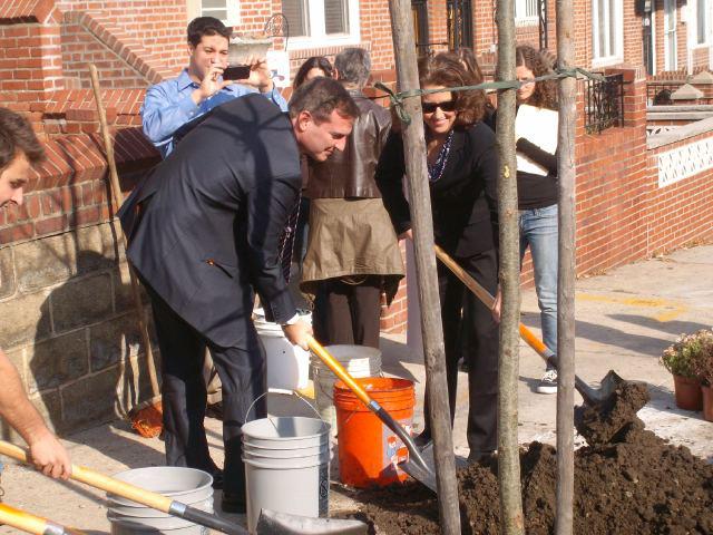 Senator Gianaris helping plant Greening Western Queens' first new tree ...