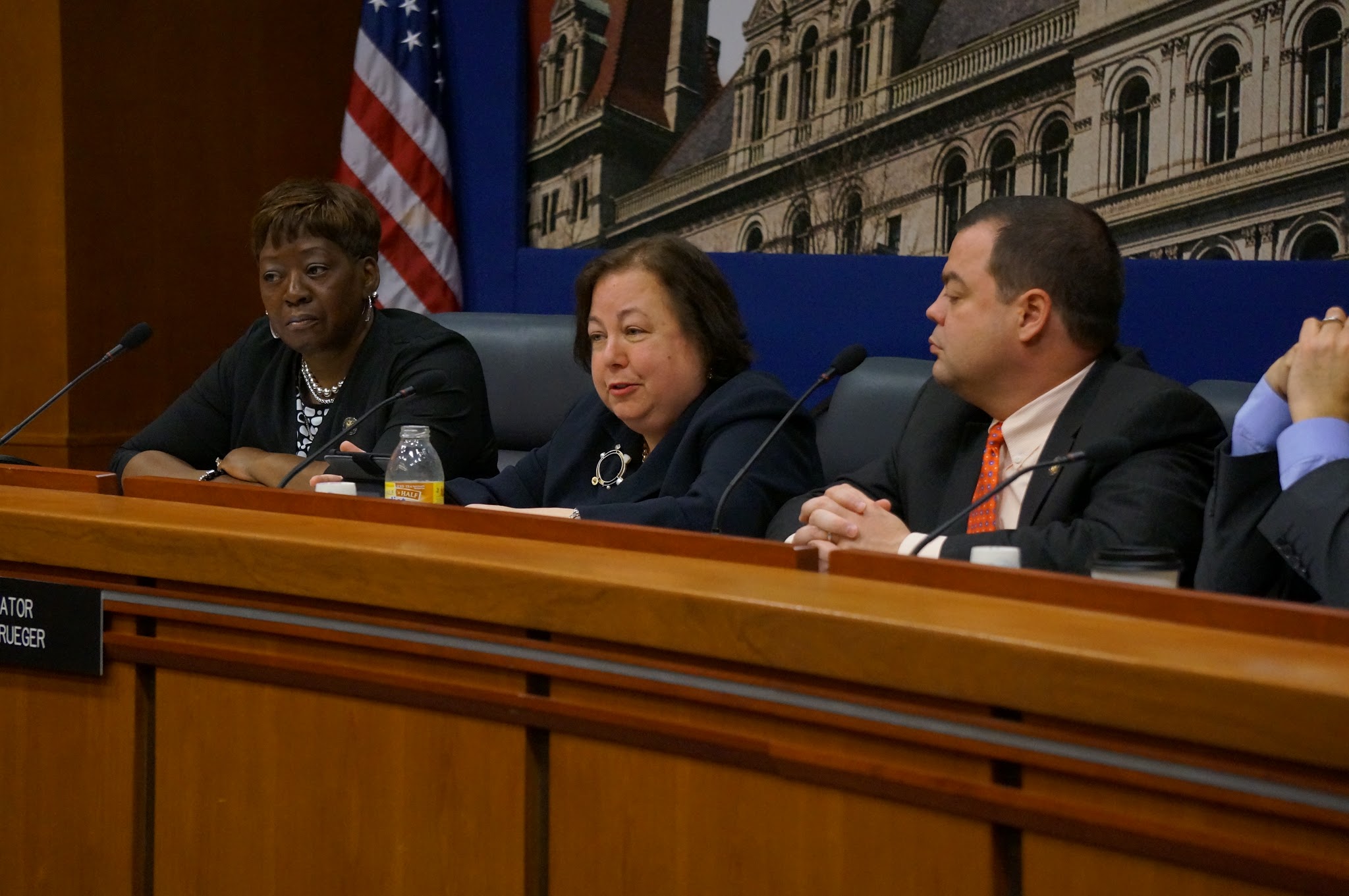 Senator Krueger, Assemblymember Peoples-Stokes Hold Public Forum on NYS ...
