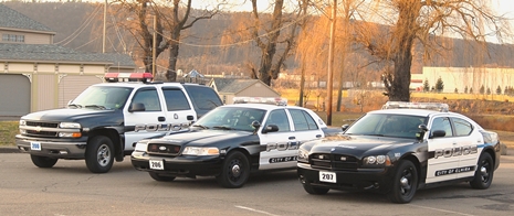POLICE SAFETY | NYSenate.gov
