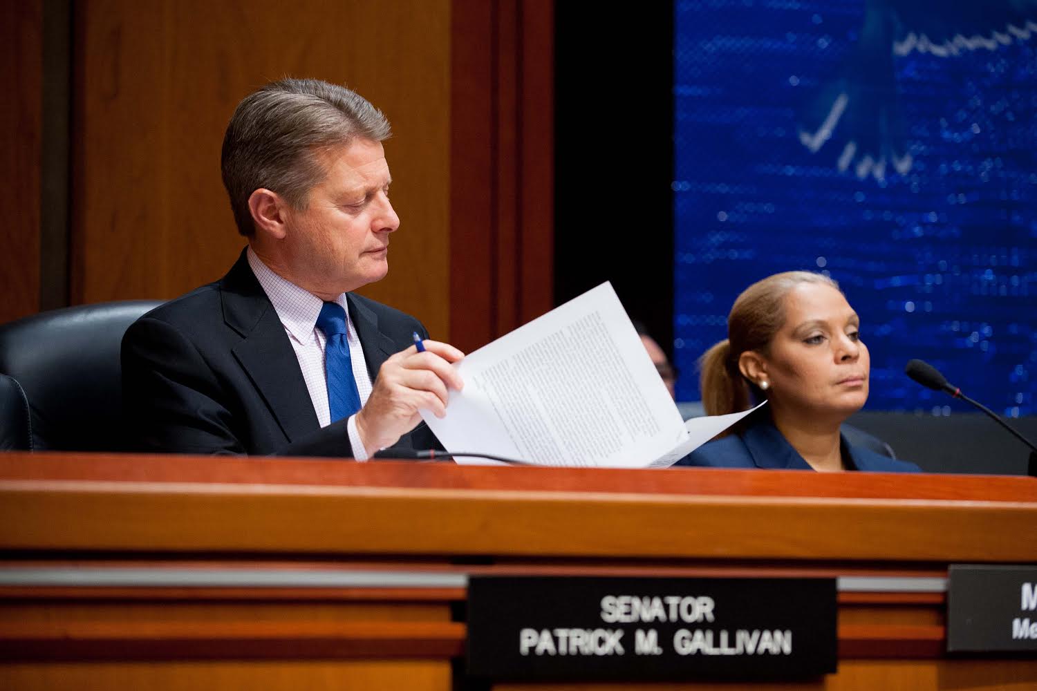 Senator Gallivan's Votes for June 3-4, 2024 | NYSenate.gov