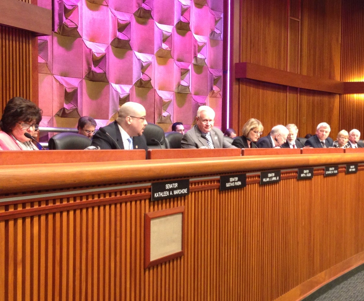 Fighting for Brooklyn at the Budget Subcommittee on Health | NYSenate.gov