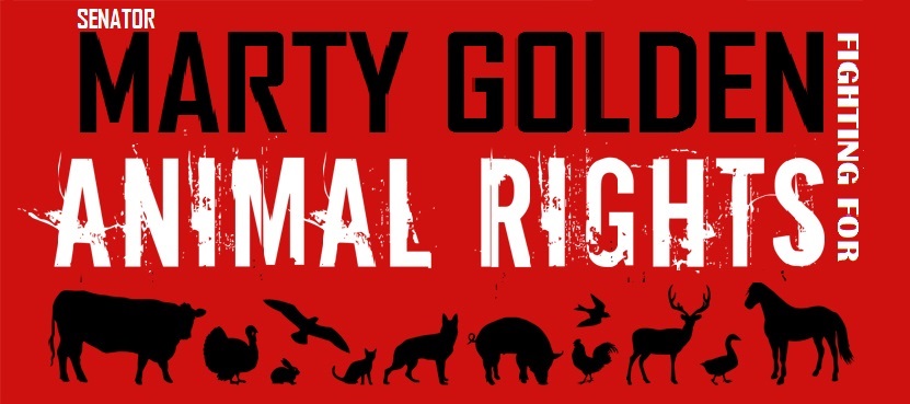 SENATOR GOLDEN RESPONDS TO REPORTS OF ANIMAL CRUELTY IN BAY RIDGE ...
