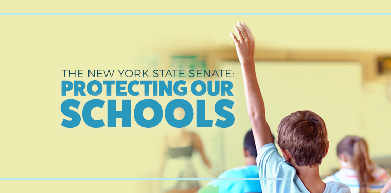Protecting Our Schools & Keeping Students Safe | NYSenate.gov