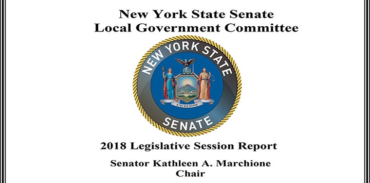 2018 Report of the NYS Senate Standing Committee on Local Government ...