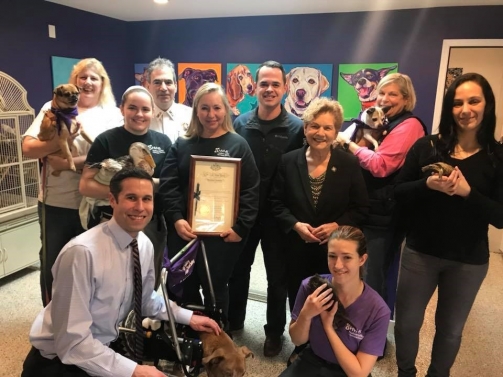 Carlucci & Zebrowski’s Bill To Help Fight Animal Cruelty Is Signed Into ...