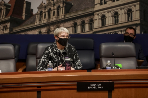 Senator May Releases Report on Long-Term Care Hearing | NYSenate.gov