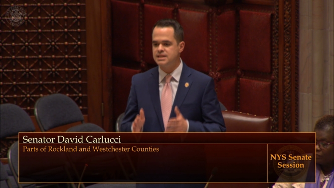 Senator Carlucci's Bill Making it Easier to Report Domestic Violence ...