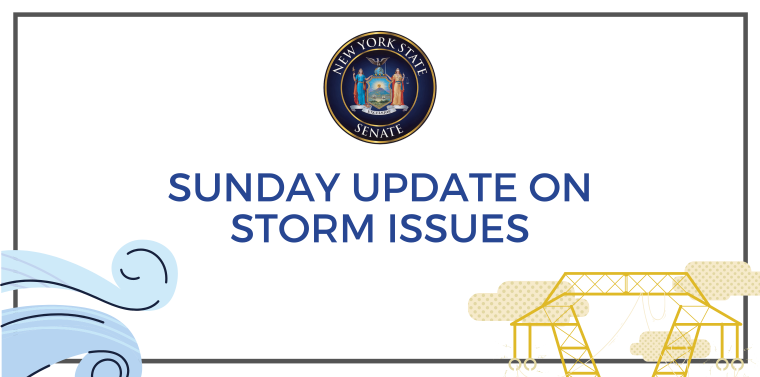 Senator Mayer's Update on Storm Issues, 8-9-2020 | NYSenate.gov