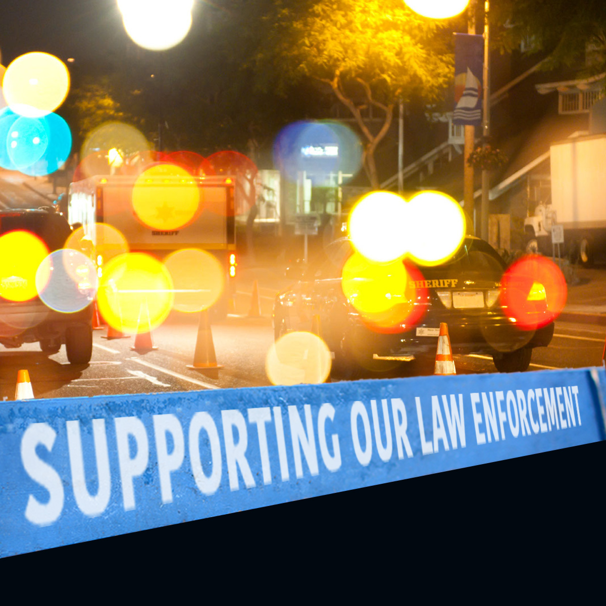 Protecting Our Families and Supporting Law Enforcement | NY State Senate