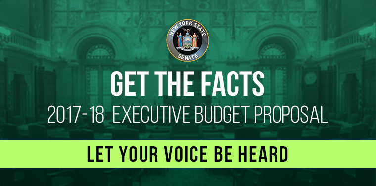 2017-18 NYS Budget Information | NYSenate.gov