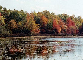 CLAY PITS POND STATE PARK PRESERVE - Fall Events Guide (October ...