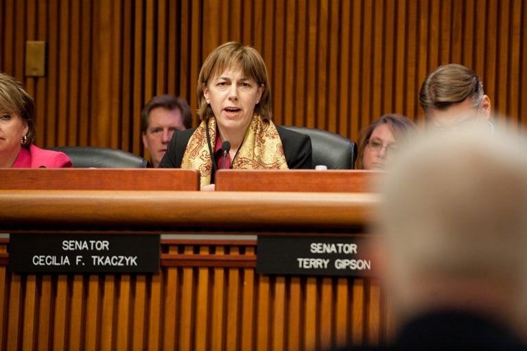 Senator Tkaczyk Marks Earth Day with Solar Energy Legislation ...