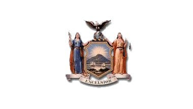 To explore how to improve New York State’s Article 81 Guardianship ...