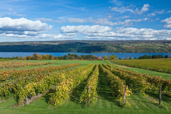 State announces new plan to guide natural resources conservation and ...