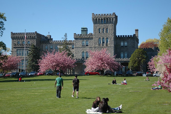 Nursing Degree Programs Approved For Manhattanville College | NYSenate.gov