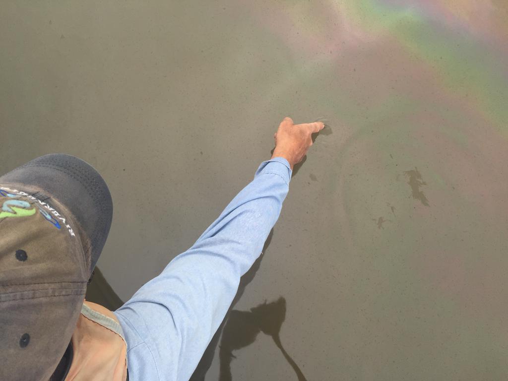 Senators launch inquiry into Indian Point explosion, fuel spill ...