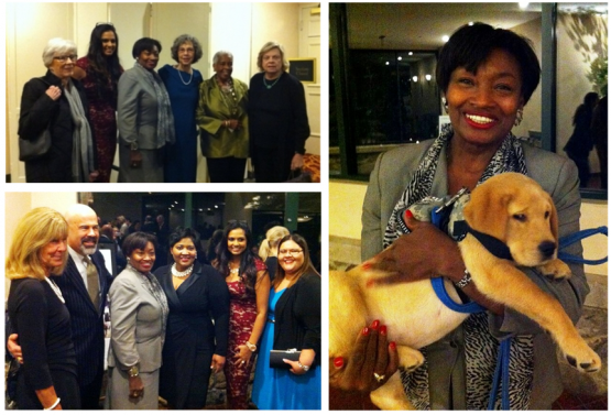 Light Up the Night Gala | NYSenate.gov