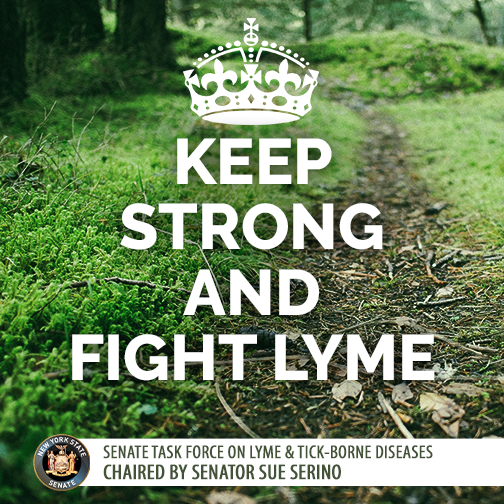 SERINO WORKS TO MAINSTREAM LYME DISEASE AWARENESS | NYSenate.gov