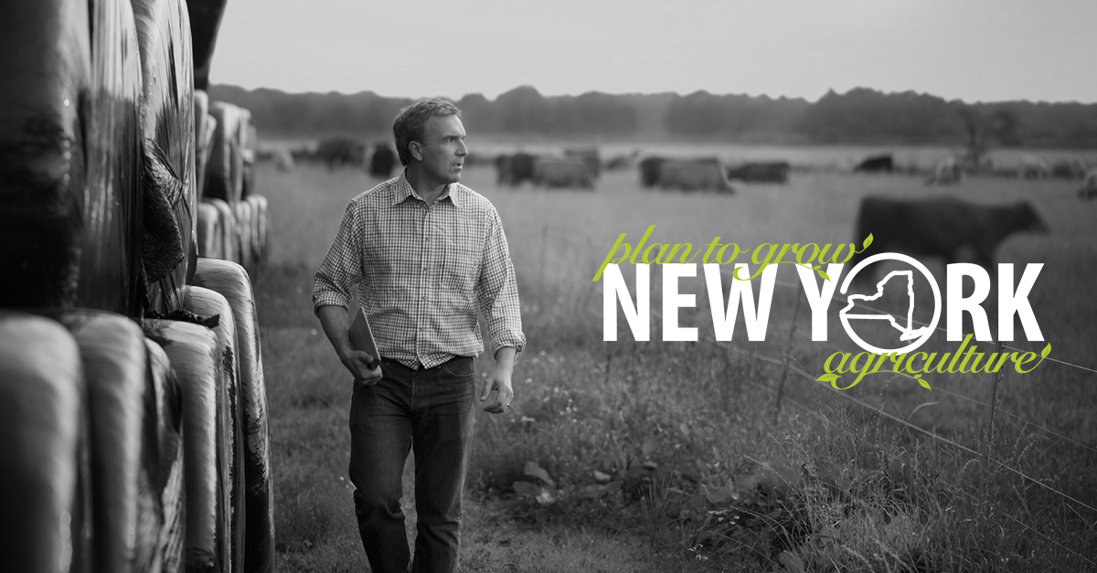 SEN. FARLEY UNVEILS “PLANTING SEEDS” INITIATIVE TO SUPPORT FARMERS AND ...