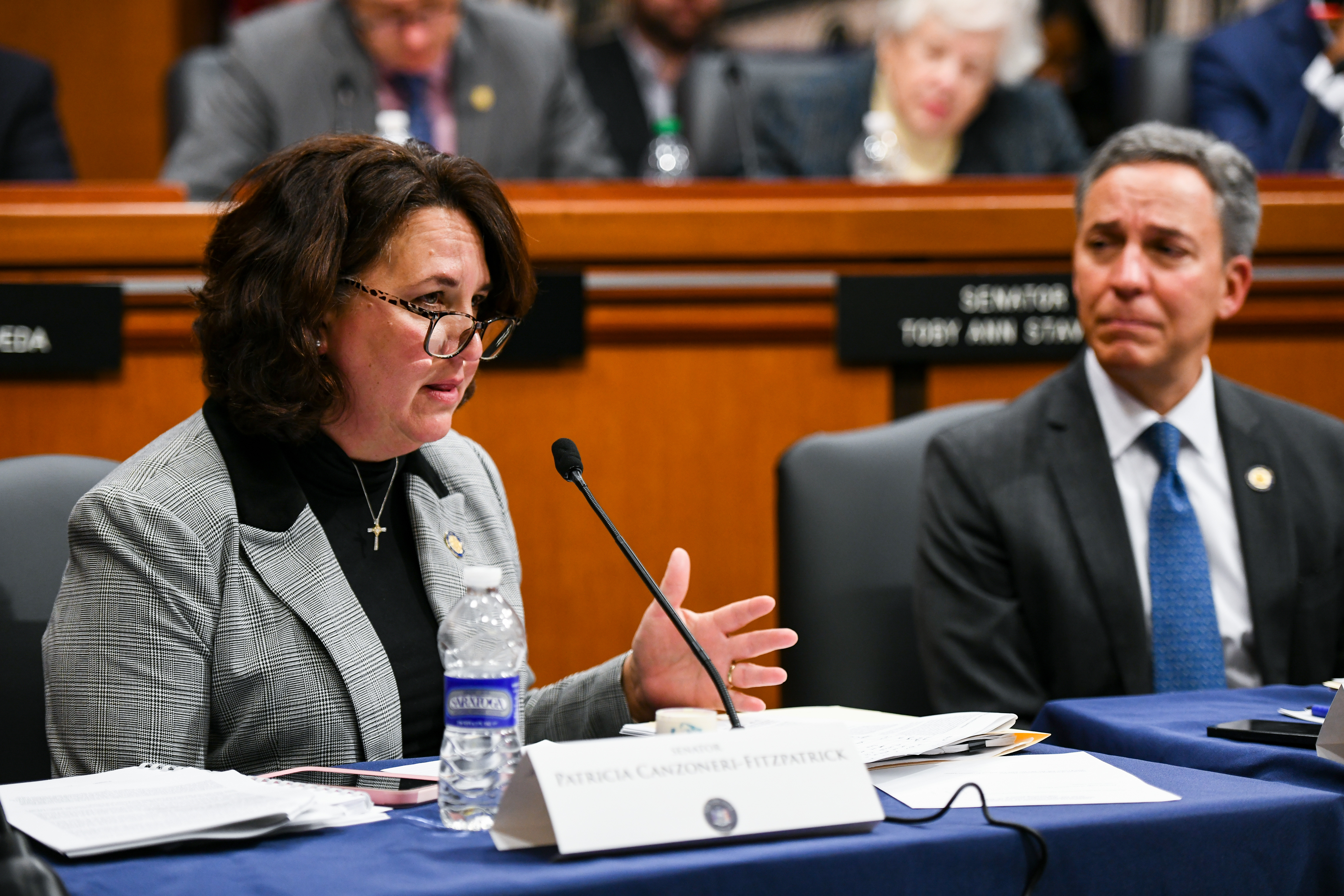 Senator Canzoneri-Fitzpatrick Responds to One-House Budget Resolution ...