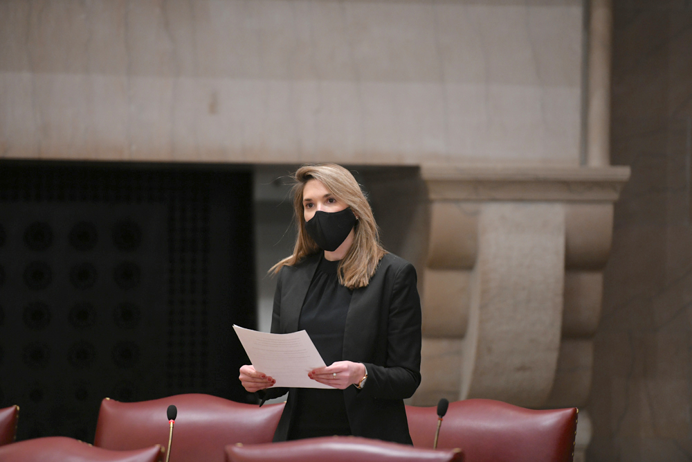 Senator Michelle Hinchey Secures Over $1.5M in State Budget Funding for ...